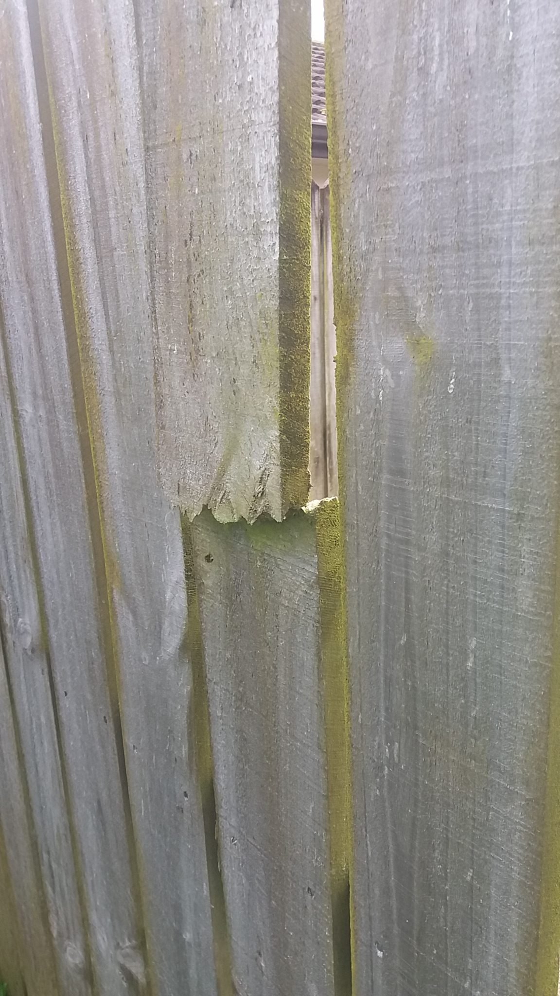 6 Most Common Damages to Timber Fences